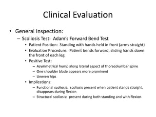 thoracic and lumbar spine-1.pptx
