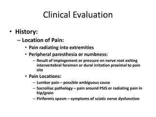 thoracic and lumbar spine-1.pptx