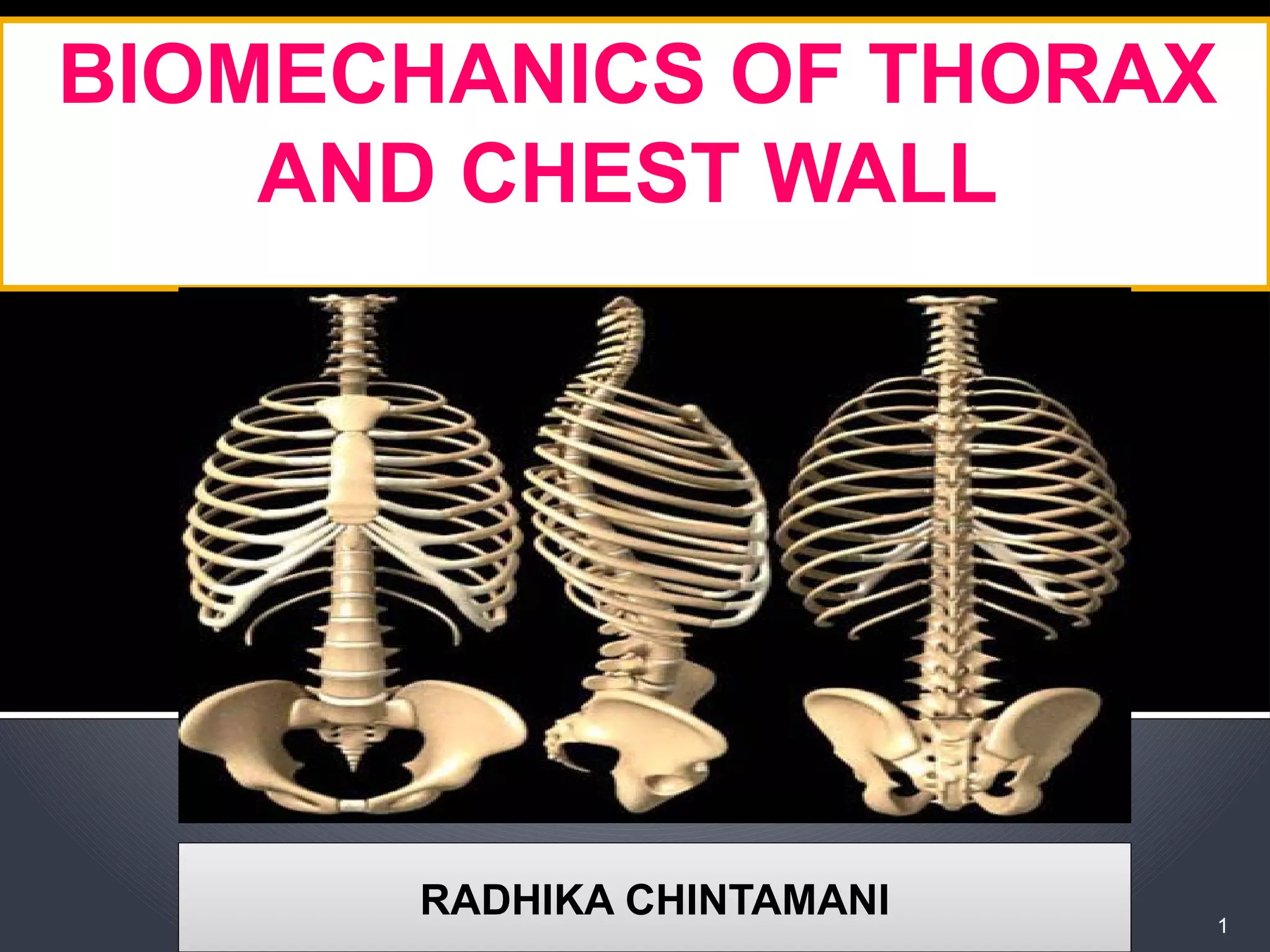 Thoracic and rib cage anatomy, biomechanics, and pathomechanics | PDF