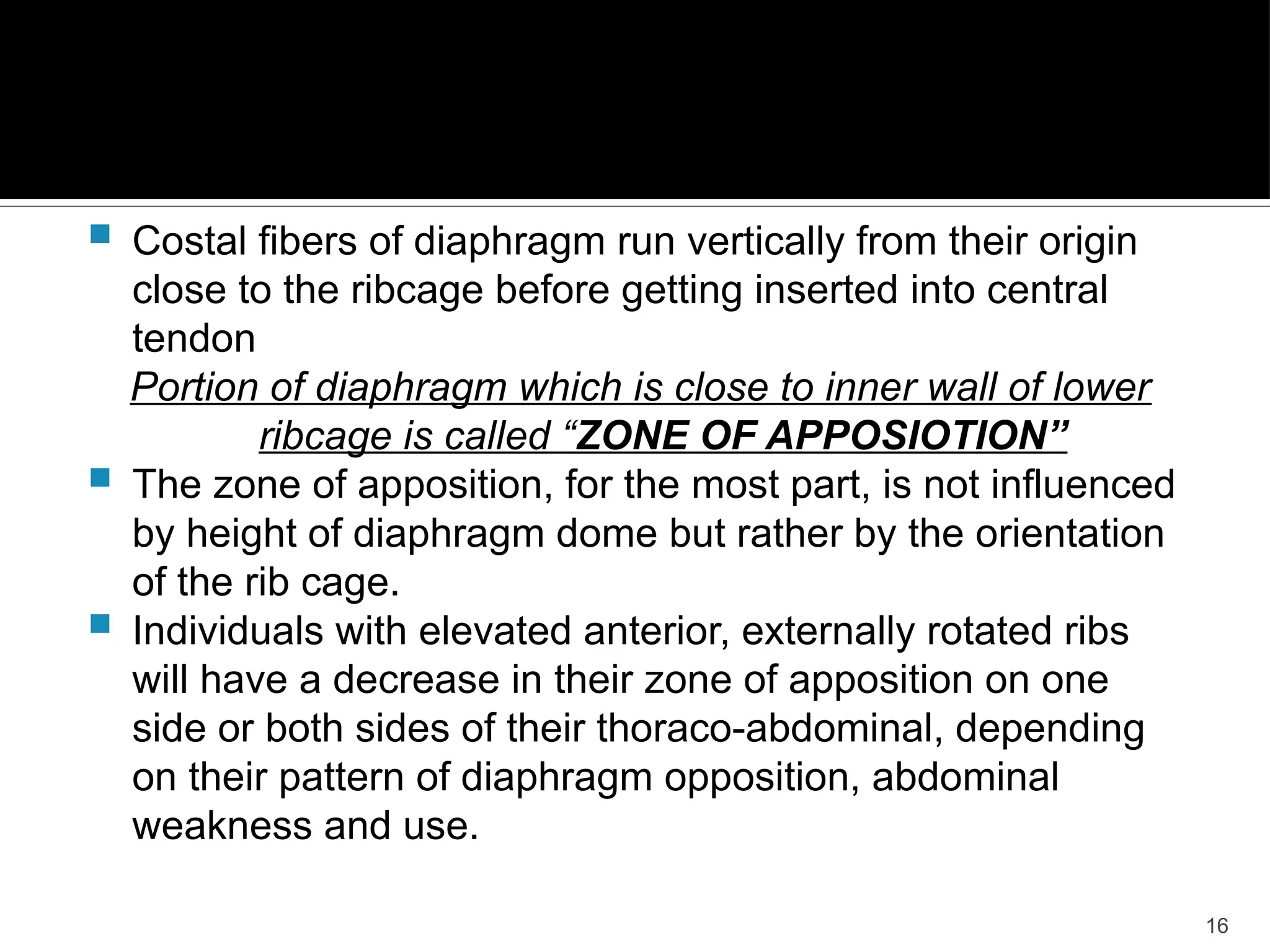 Thoracic and rib cage anatomy, biomechanics, and pathomechanics | PDF