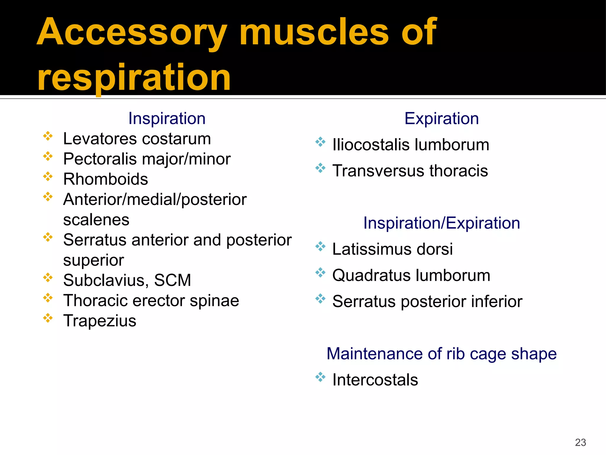 Thoracic and rib cage anatomy, biomechanics, and pathomechanics | PDF