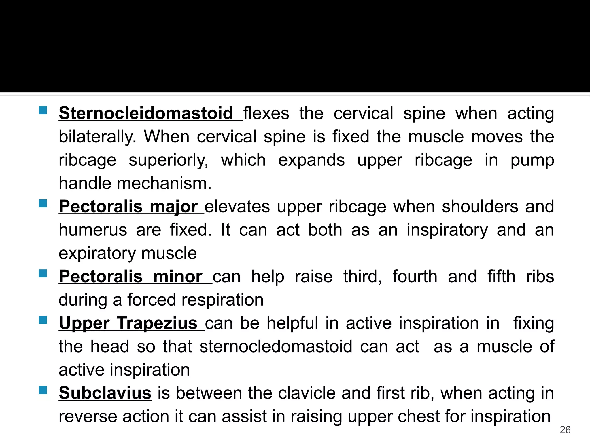 Thoracic and rib cage anatomy, biomechanics, and pathomechanics | PDF