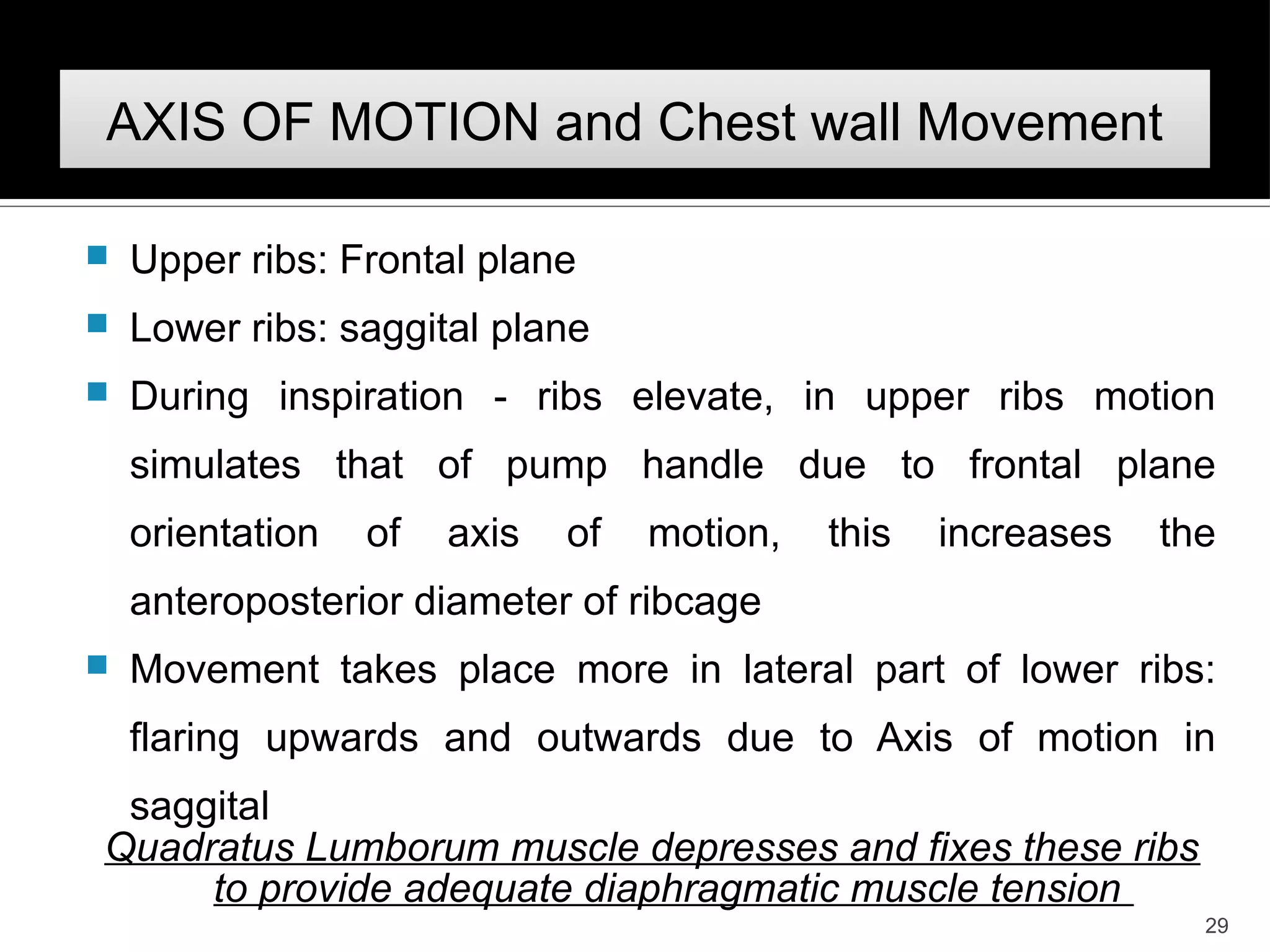 Thoracic and rib cage anatomy, biomechanics, and pathomechanics | PDF