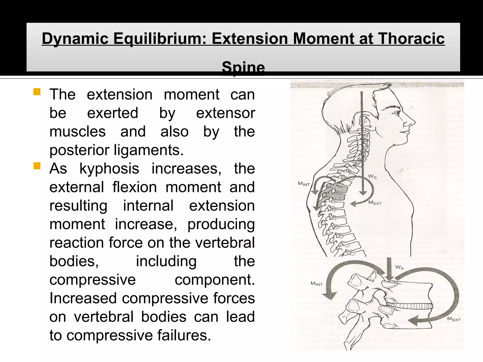 Thoracic and rib cage anatomy, biomechanics, and pathomechanics | PDF