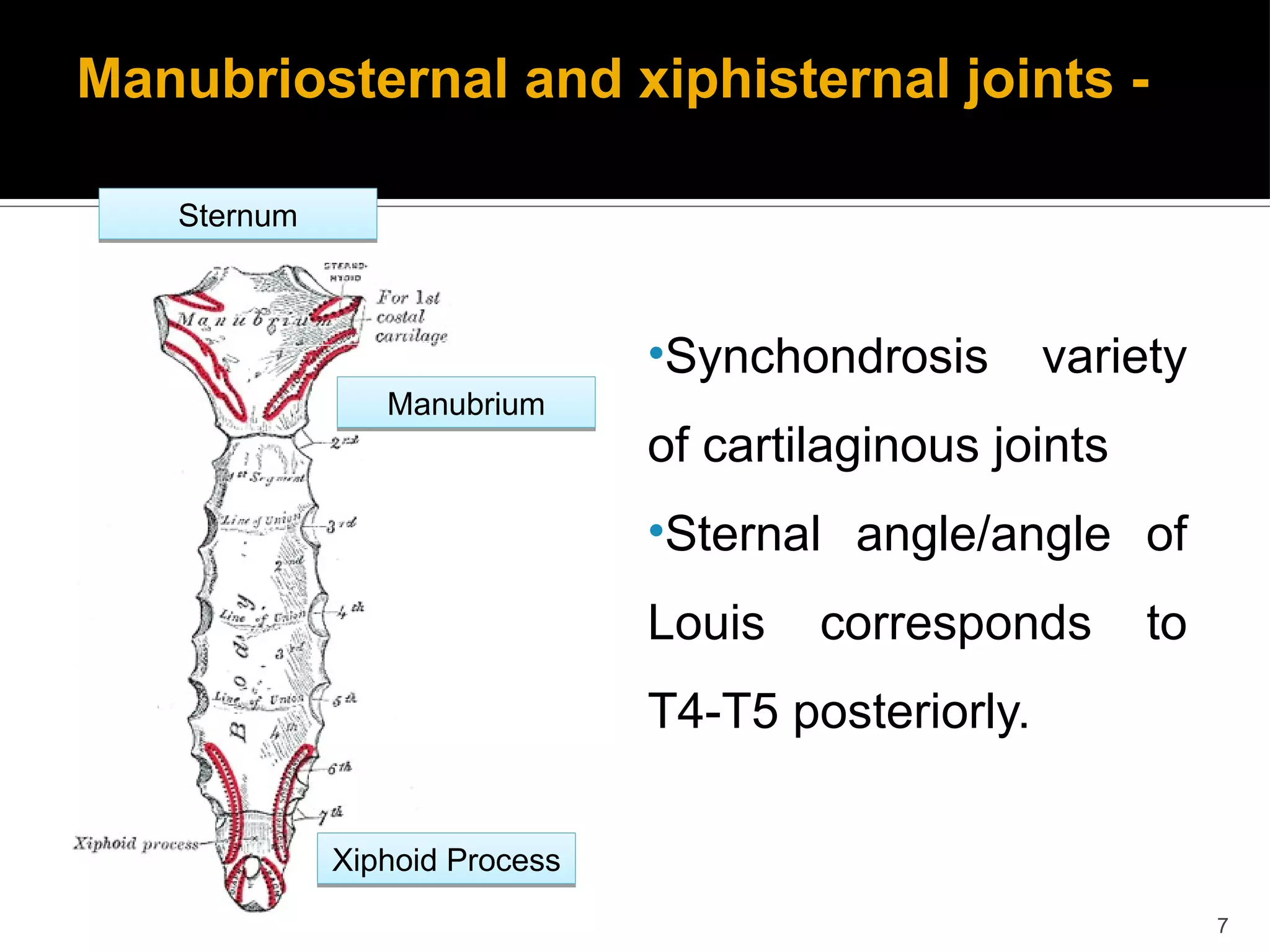Thoracic and rib cage anatomy, biomechanics, and pathomechanics | PDF