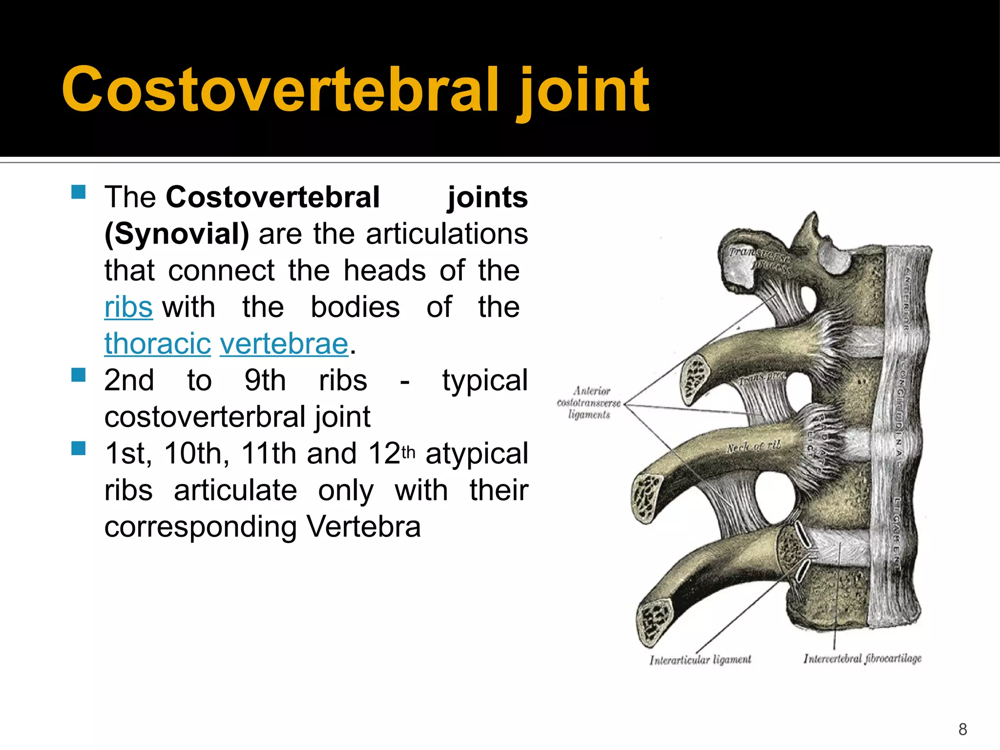 Thoracic and rib cage anatomy, biomechanics, and pathomechanics | PDF