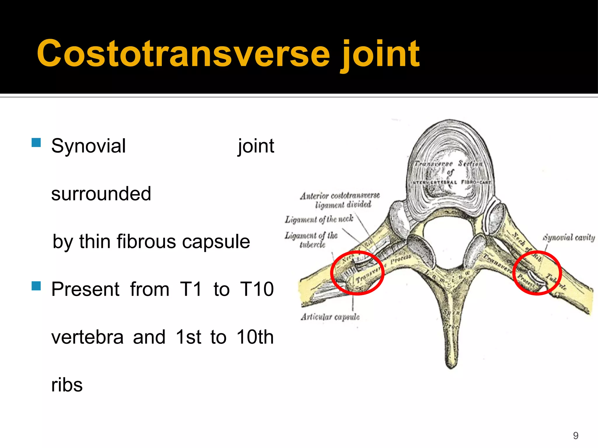 Thoracic and rib cage anatomy, biomechanics, and pathomechanics | PDF