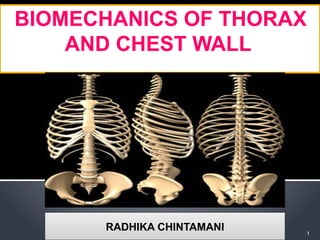 Thoracic and rib cage anatomy, biomechanics, and pathomechanics | PDF