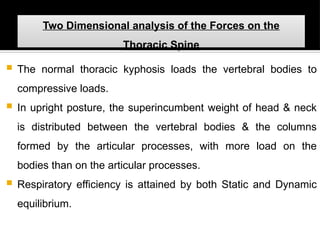 Thoracic and rib cage anatomy, biomechanics, and pathomechanics | PDF