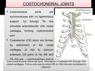 1st Costochondral Junction