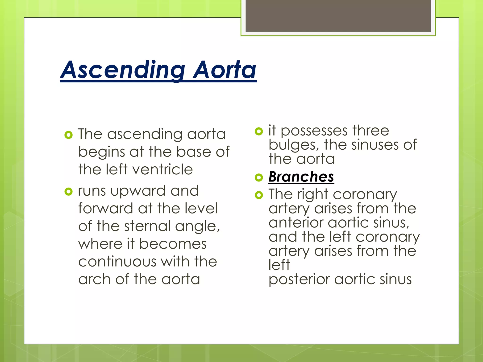 Thoracic aorta | PPTX