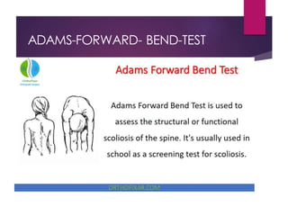 thoracic assessment.pdf طبعي تقيم الصدر علاج | PPT