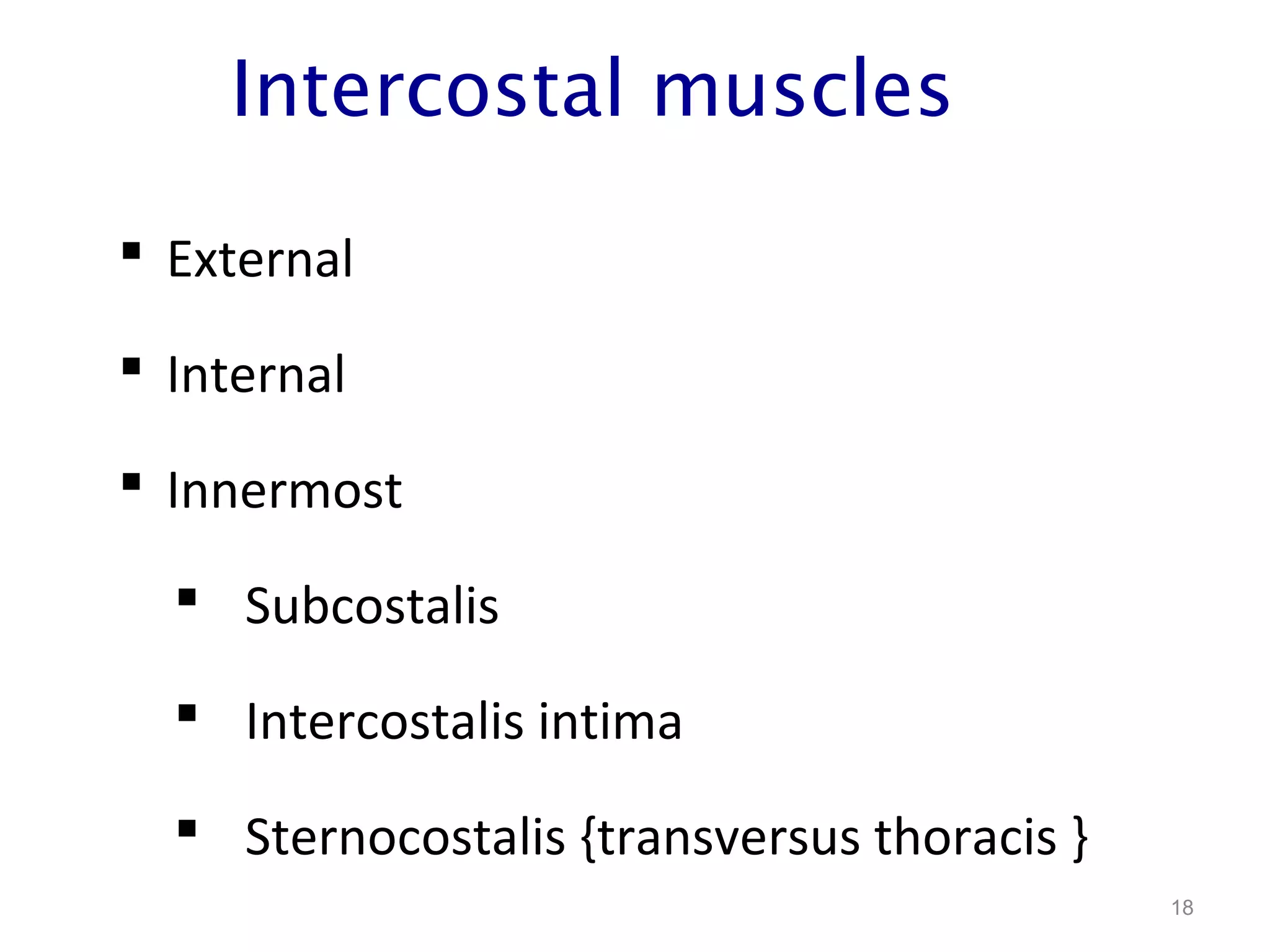 Thoracic cage | PPT