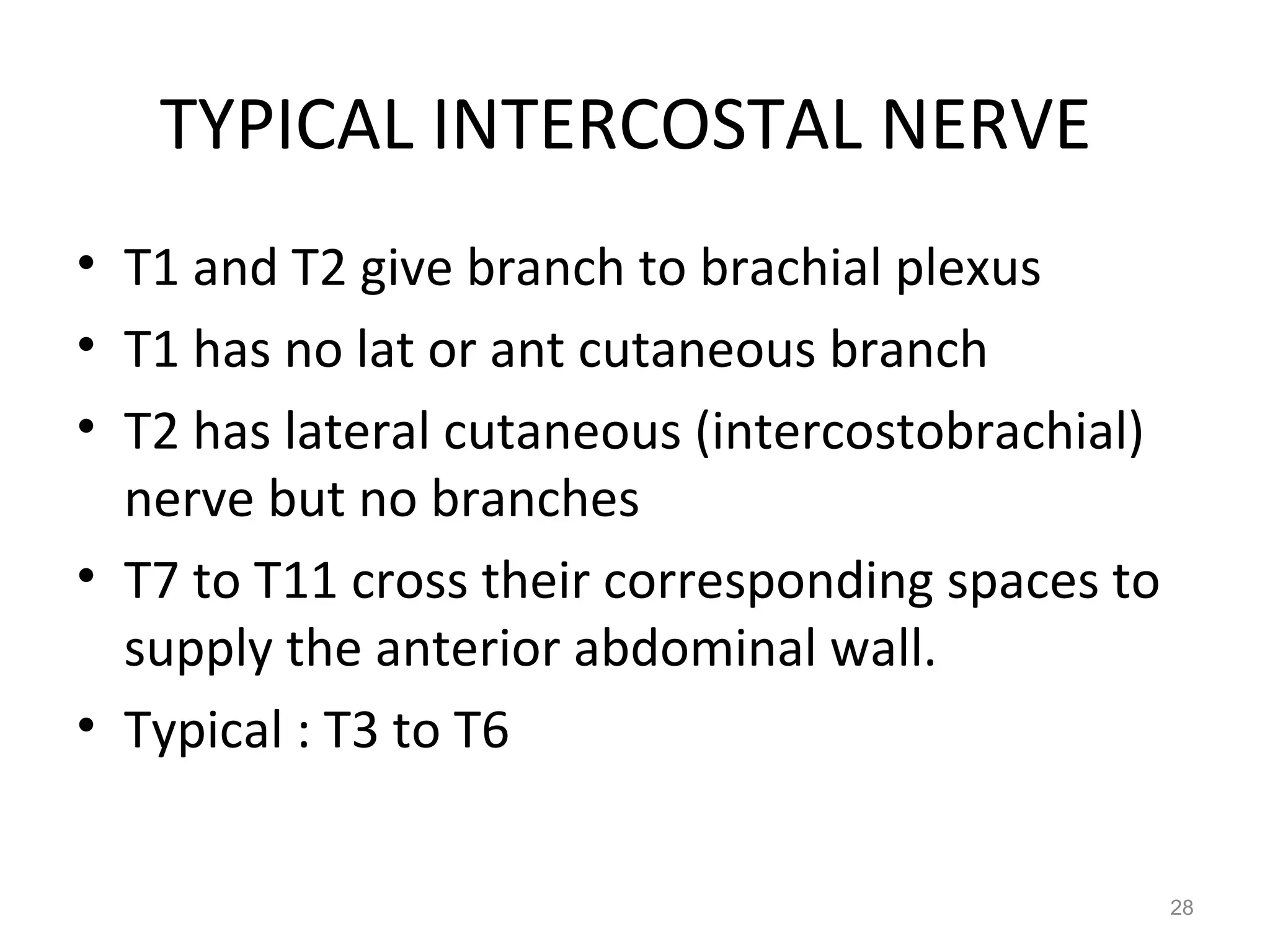 Thoracic cage | PPT