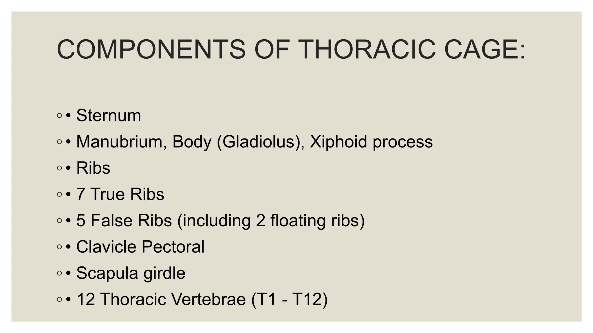 thoracic cage anatomy presentation pptx | PPT