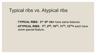 thoracic cage anatomy presentation pptx | PPT