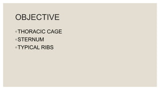 thoracic cage anatomy presentation pptx | PPT