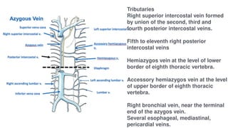 Anatomy of Thoracic Cavity by Arnab Saha.pptx