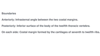 Anatomy of Thoracic Cavity by Arnab Saha.pptx