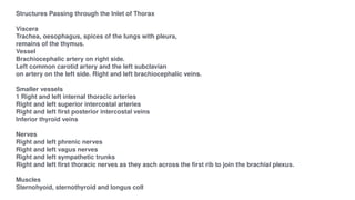Anatomy of Thoracic Cavity by Arnab Saha.pptx