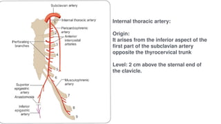 Anatomy of Thoracic Cavity by Arnab Saha.pptx
