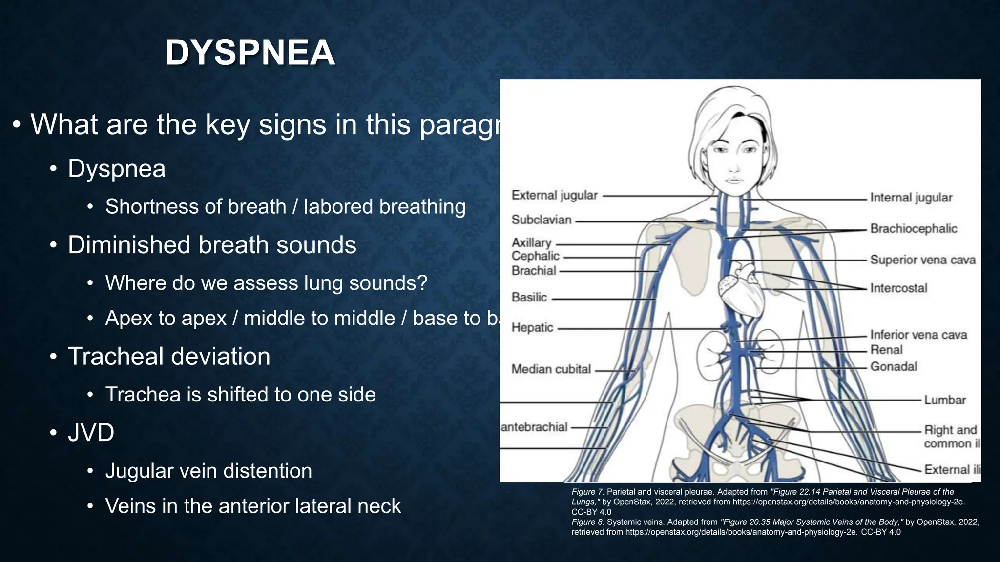 Thoracic Cavity Case Study 1 lesson slides v2.pptx