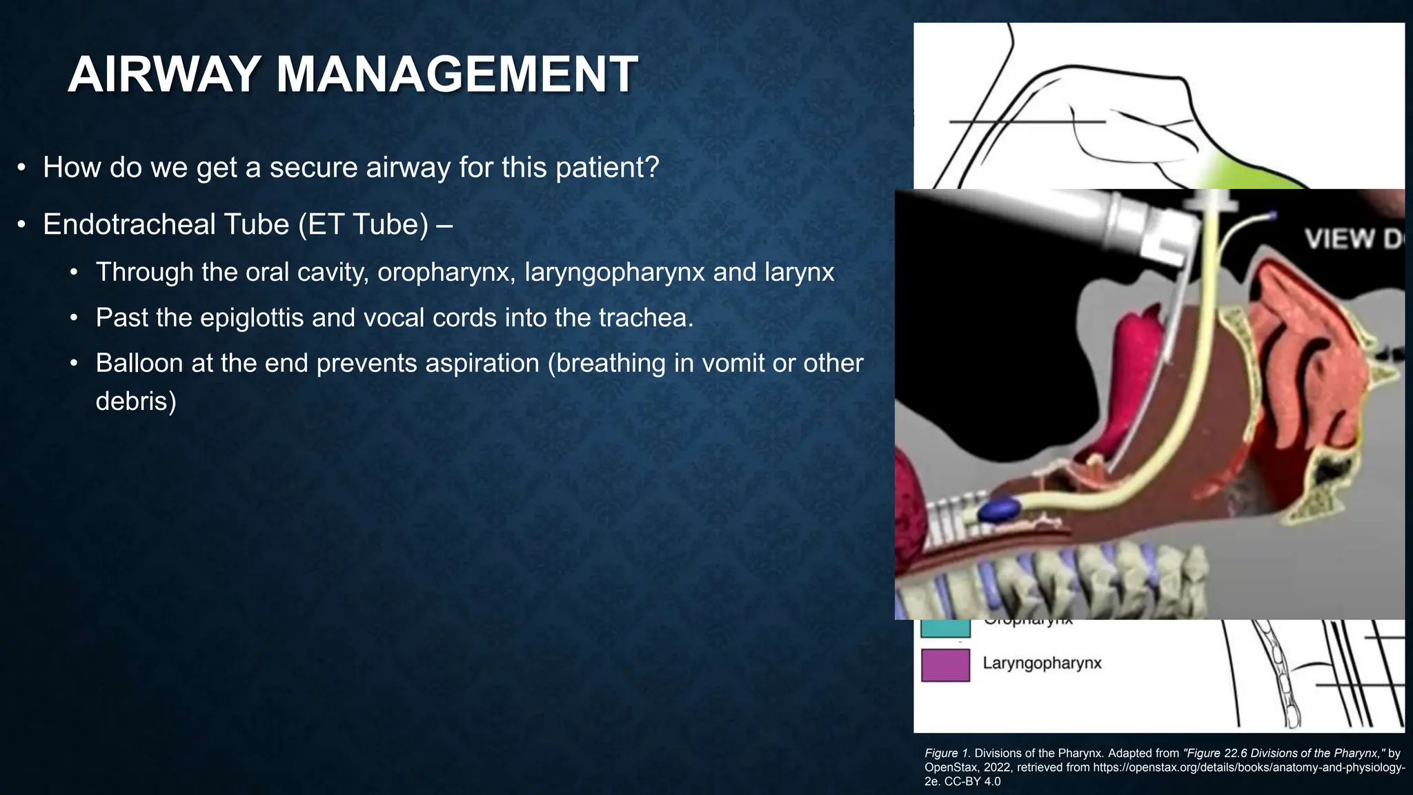 Thoracic Cavity Case Study 1 lesson slides v2.pptx