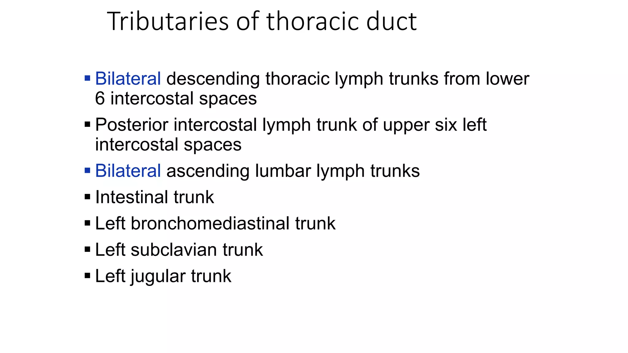 Thoracic duct | PDF