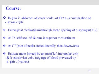 Thoracic duct.pptx