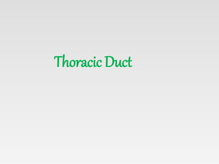 Thoracic duct.pptx