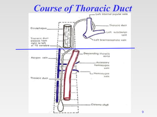 Thoracic duct.pptx