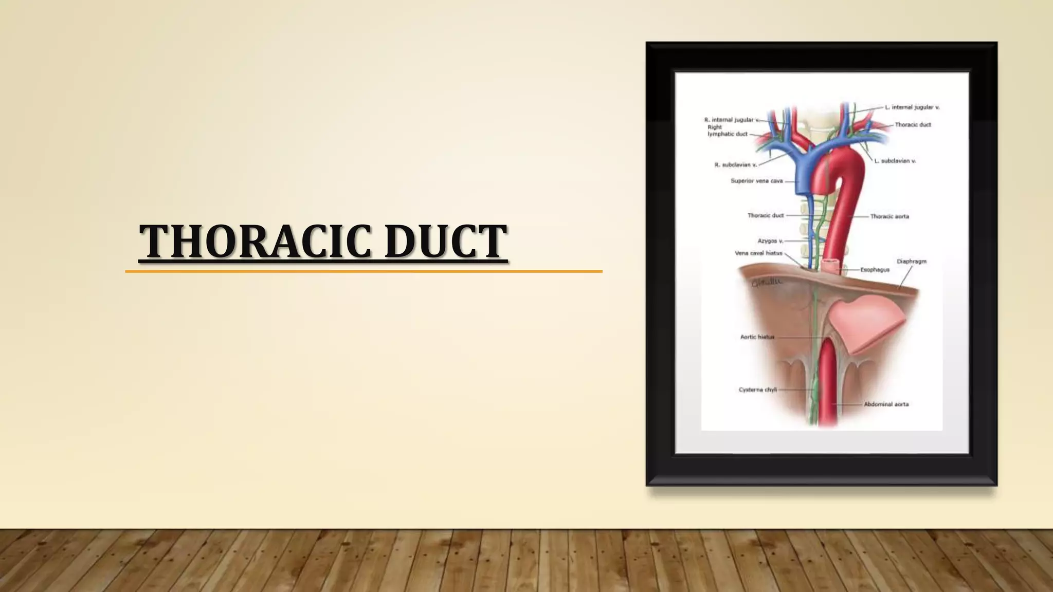 THORACIC_DUCT.pptx