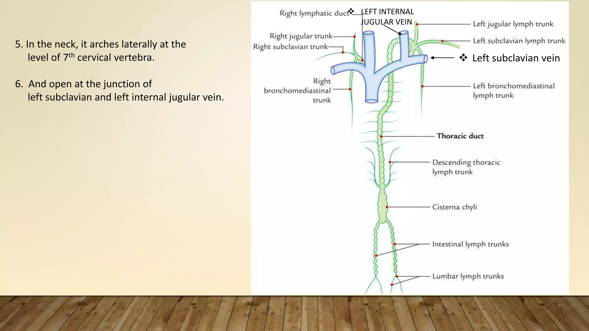 THORACIC_DUCT.pptx
