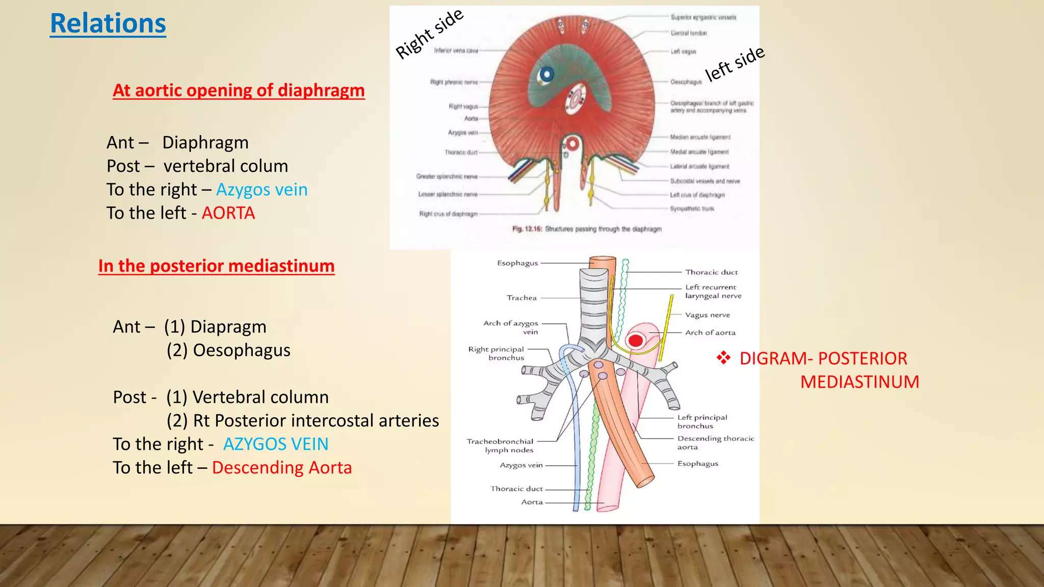 THORACIC_DUCT.pptx