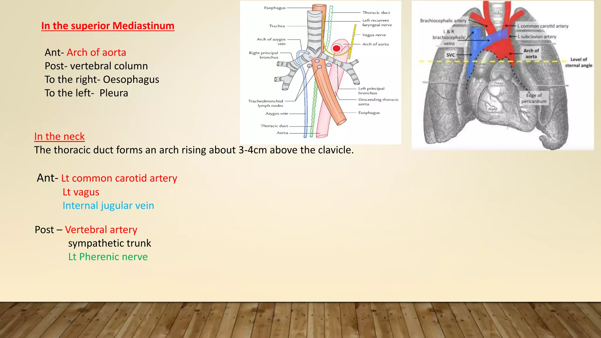 THORACIC_DUCT.pptx