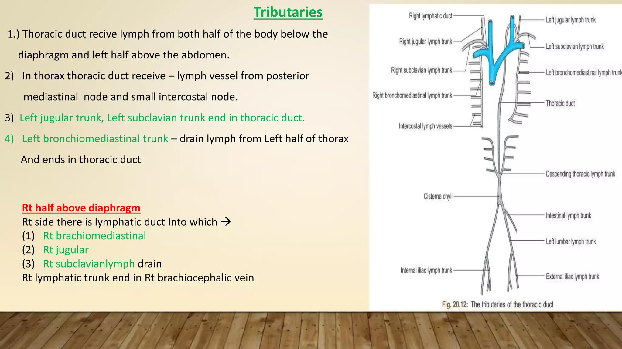 THORACIC_DUCT.pptx