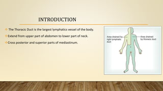 THORACIC_DUCT.pptx
