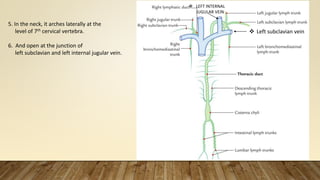 THORACIC_DUCT.pptx