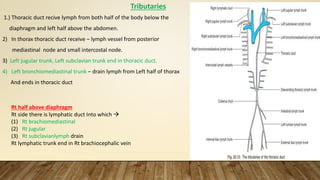 THORACIC_DUCT.pptx