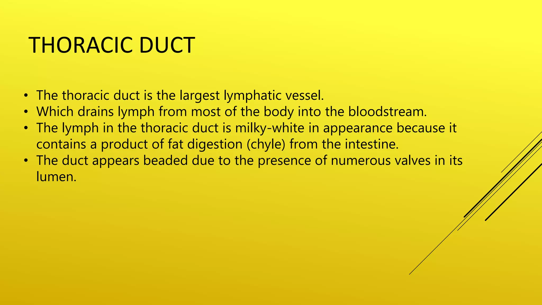 Thoracic ducts | PPTX