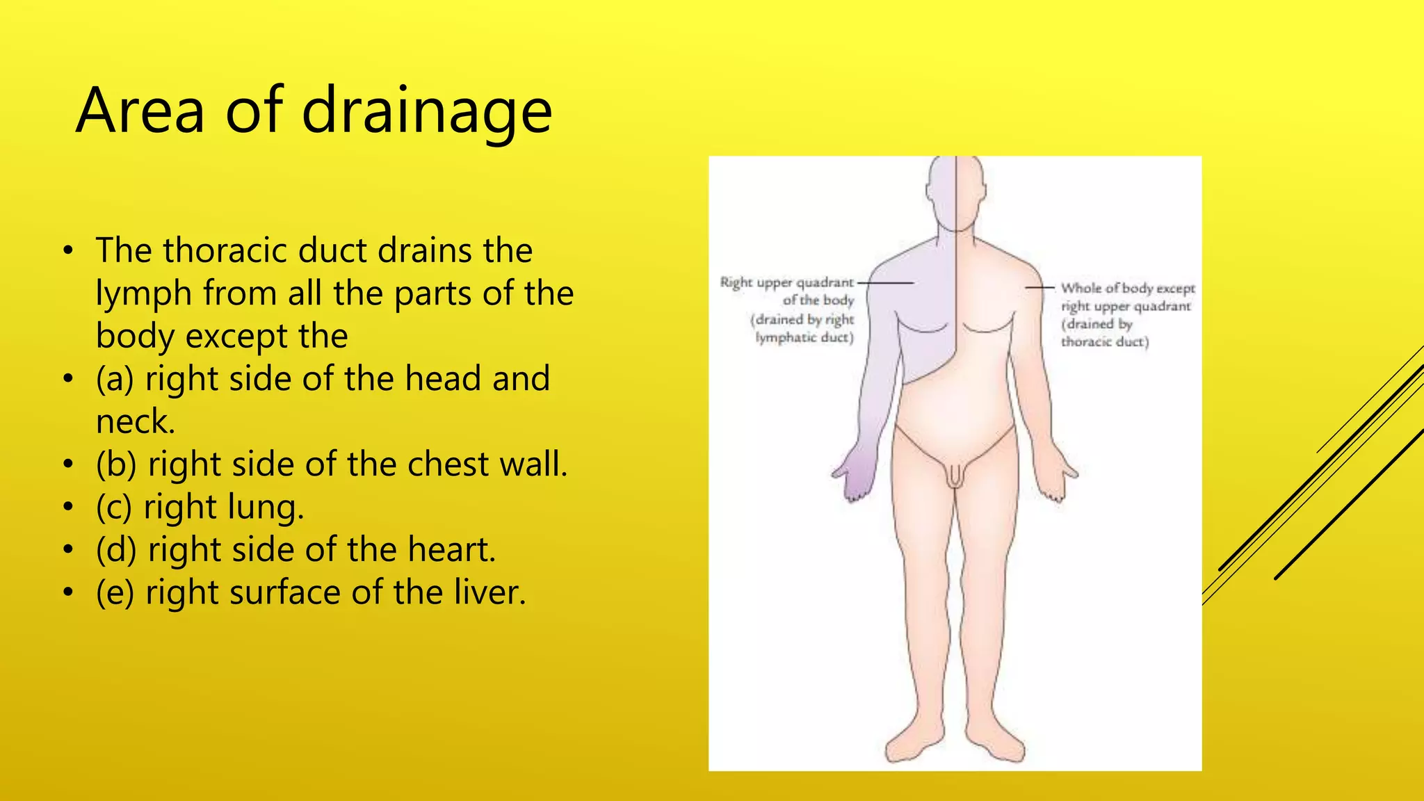 Thoracic ducts | PPTX