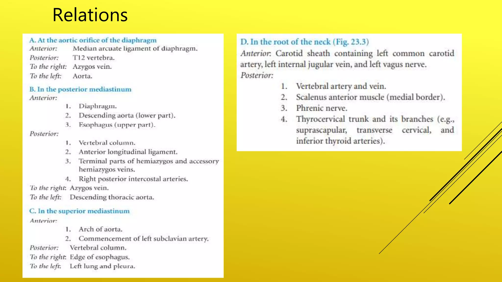 Thoracic ducts | PPTX