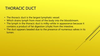 Thoracic Duct