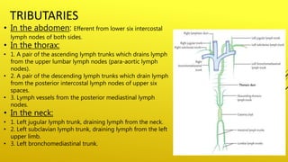 Thoracic Duct Drainage
