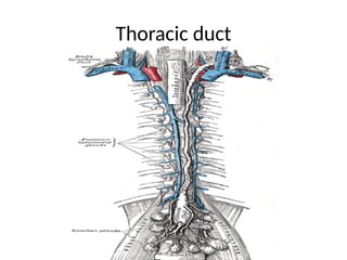 Thoracic ducts, Azygos and hemi Azygos.pptx