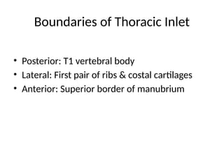 Thoracic_Inlet_Anatomy ppt m. premkumar Roll no. 46.pptx