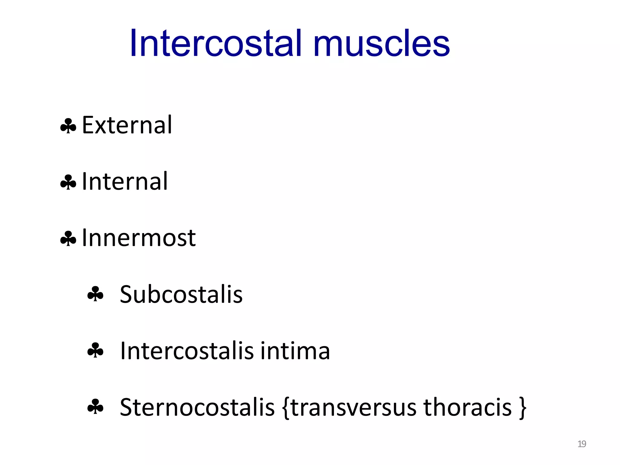 Thoracic inlet & outlet | PPTX