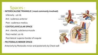 Thoracic outlet | PPT
