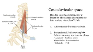 Thoracic outlet syndrome-1.pptx