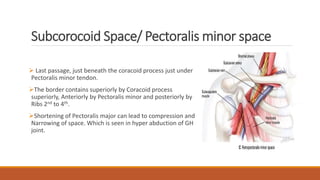 Thoracic Outlet Syndrome and Physiotherapy Management | PPTX